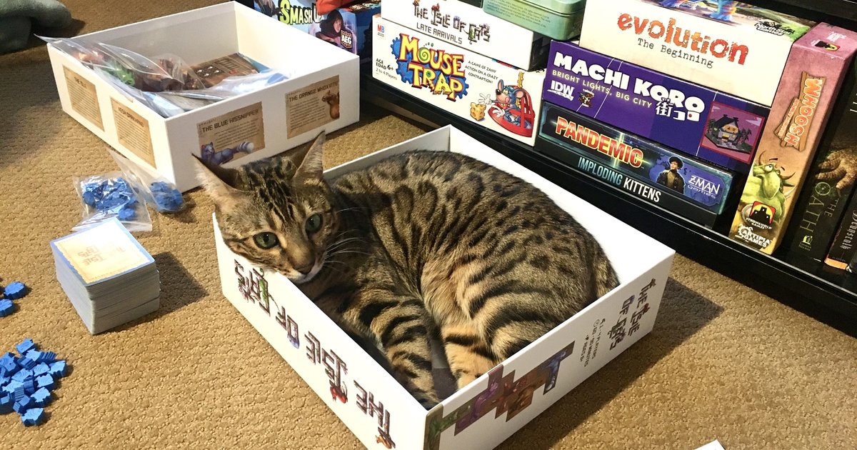 Cats Playing Board Games Quiz