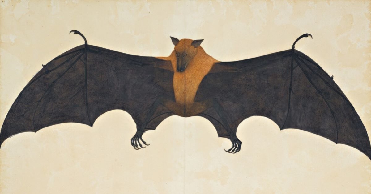 Famous Bat Art Quiz - By hazelnuts