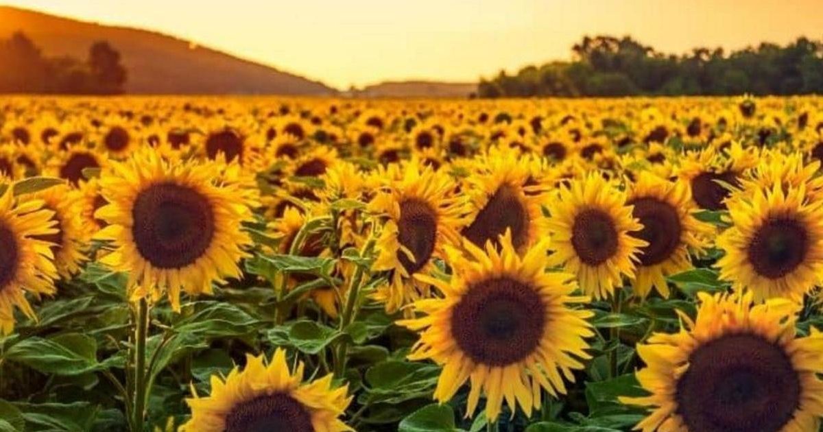 Word Ladder: Random Acts Quiz