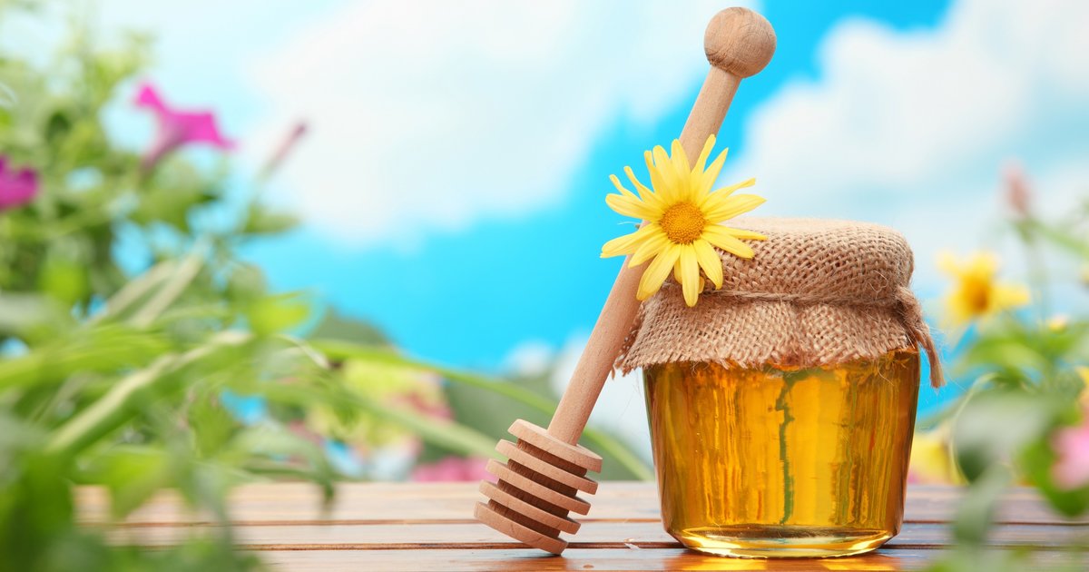 'H___Y' Picture Click Quiz - By johncenafan612