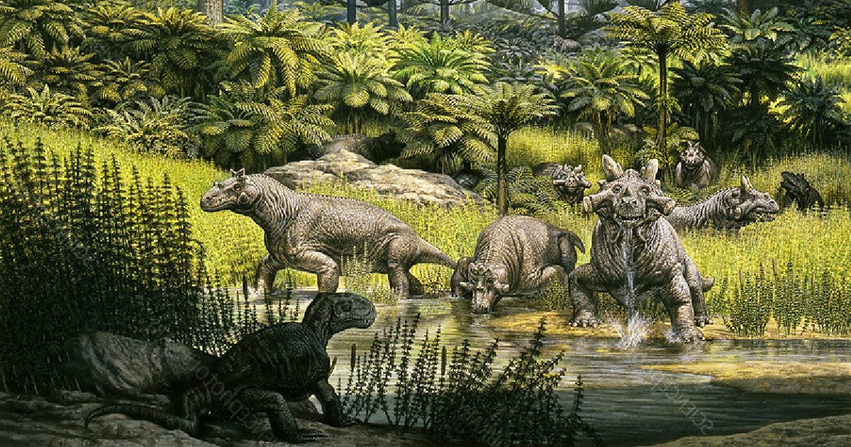 Extinct animals by geological era II Quiz - By frenchpaul1988