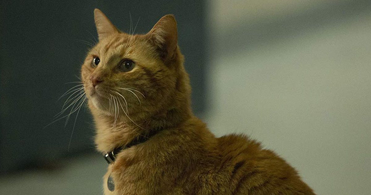 A Marvel Menagerie Quiz - By WhoFan1979