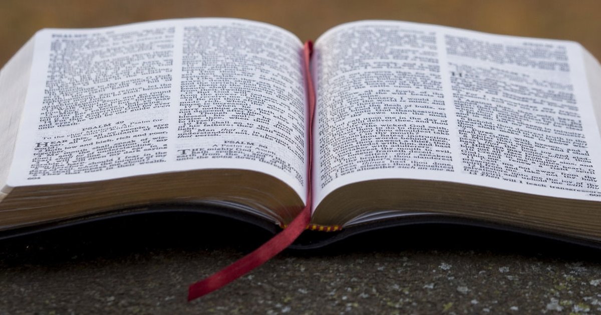 The First Ten... Books of the New Testament Quiz - By daran