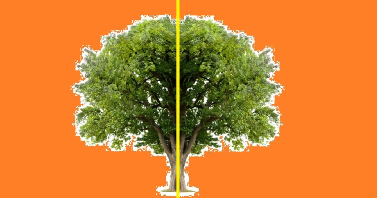 Killer Double Trees 61 - Reflections Quiz - By FGR