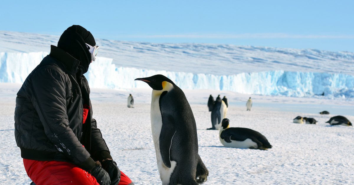 Antarctica by Population Quiz - By GeoMann