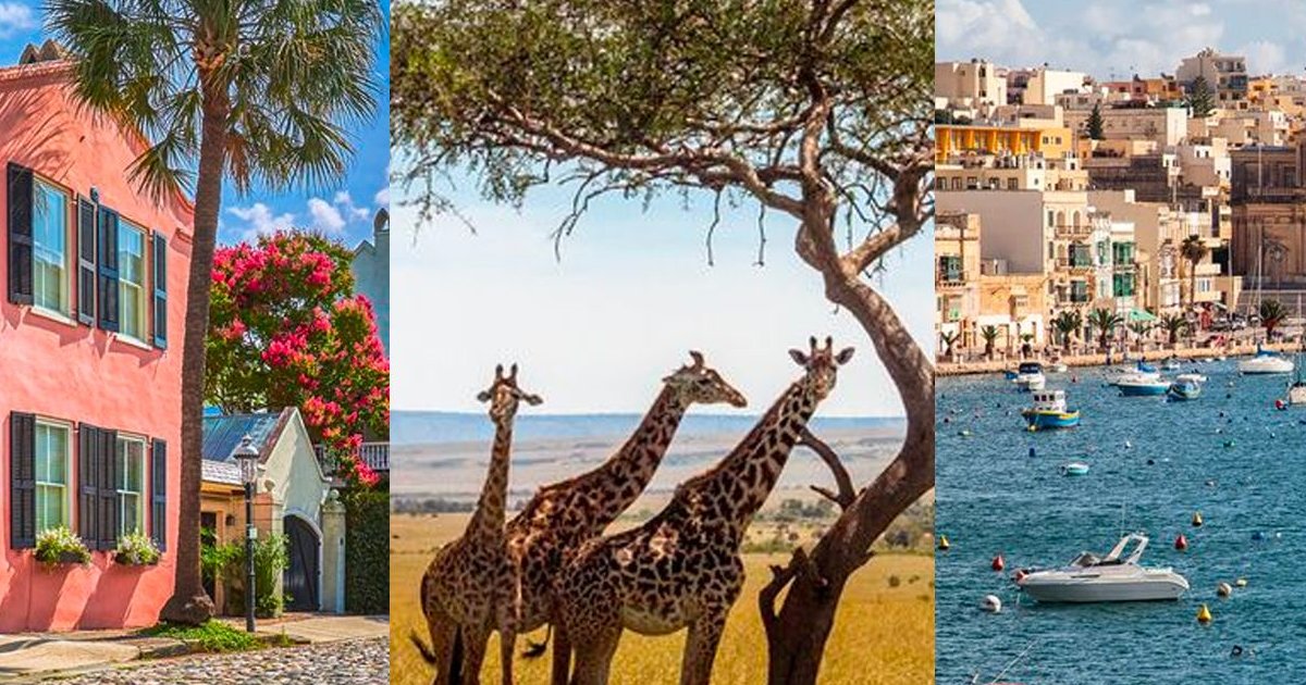 Purpose of the Text Quiz - By E_Ford