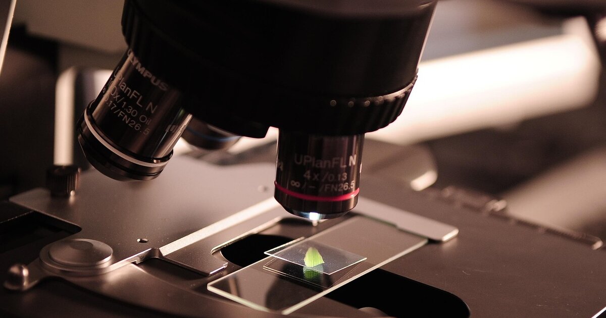 One Thing in Common: Science Quiz - By knightlancer