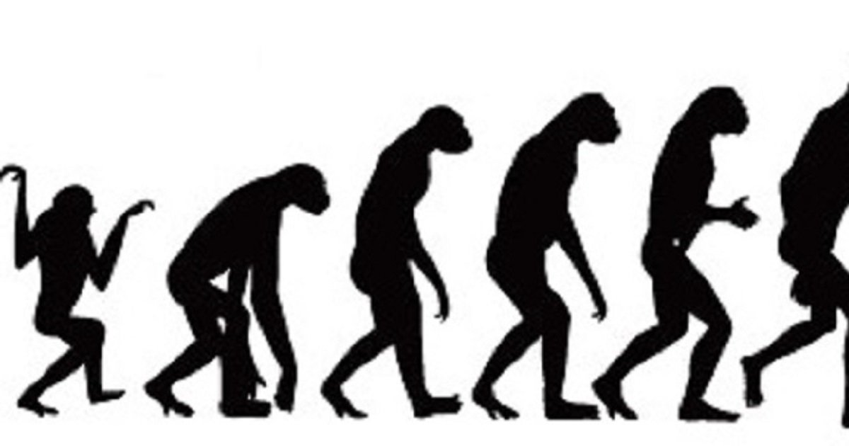 Ride the Wave: Evolution Quiz - By goosedevil