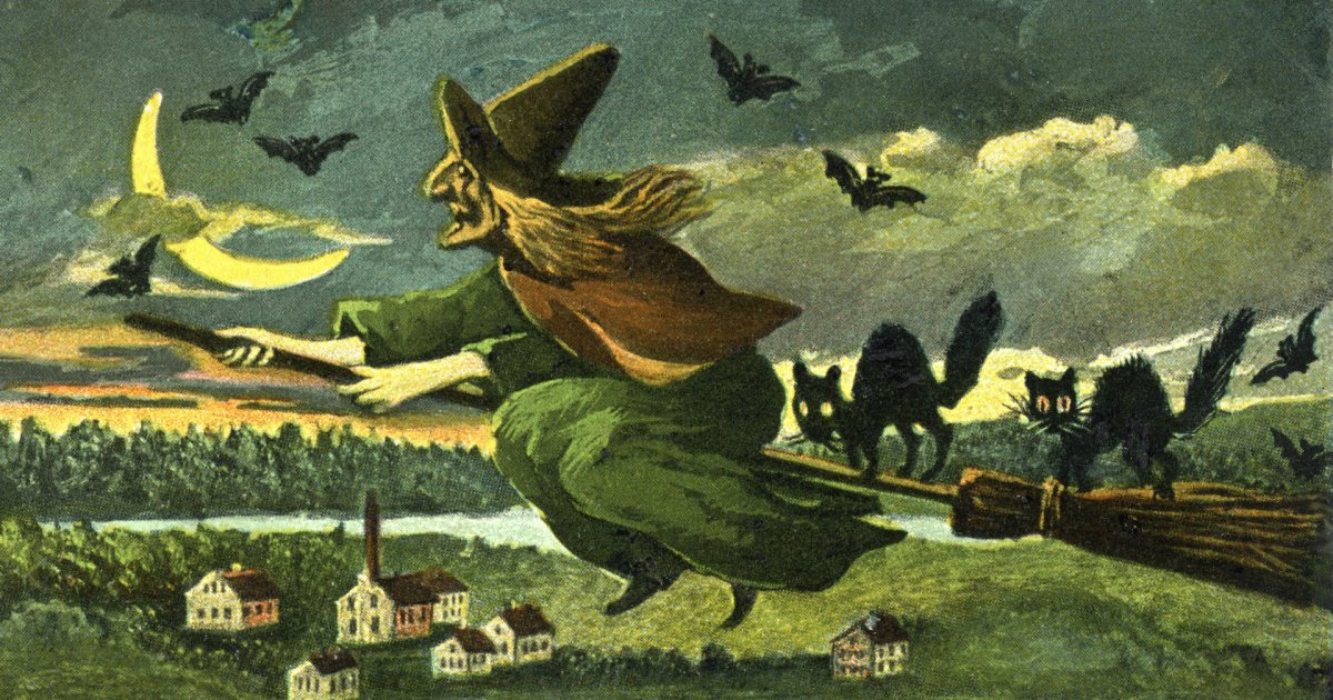 Find the Witch Animals Quiz - By alvir28