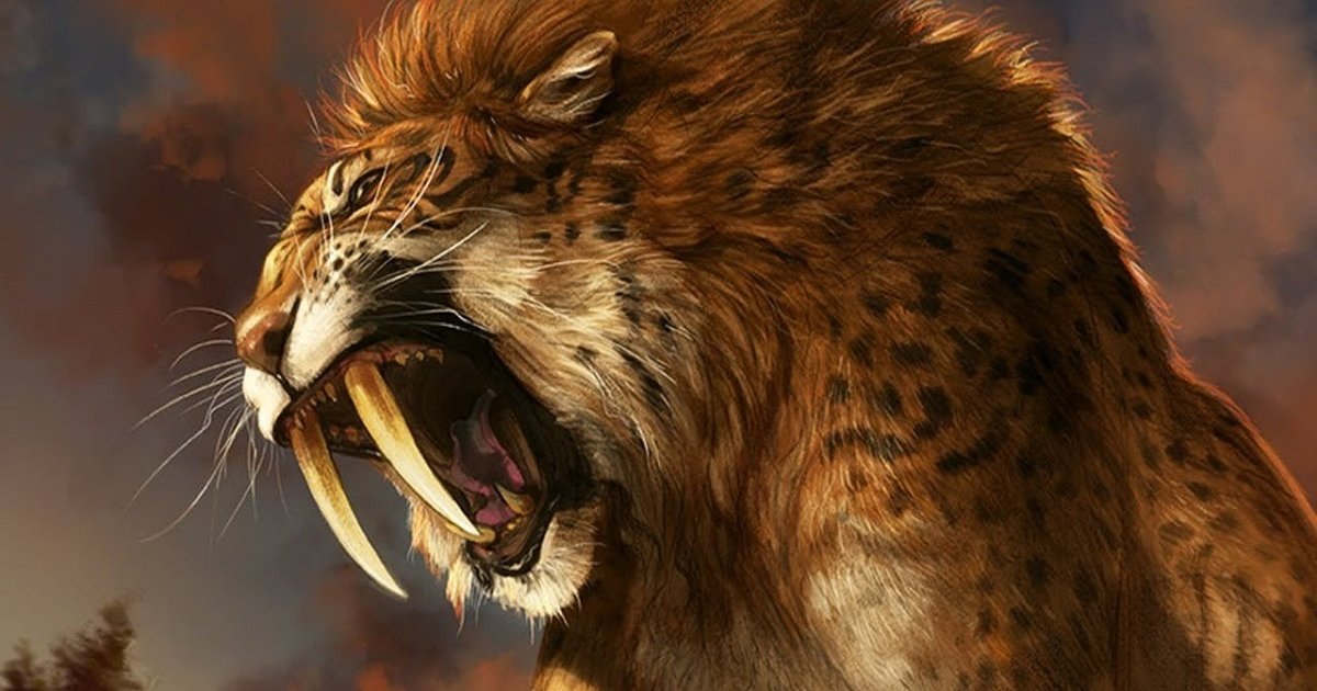 Find the Sabre Animals Quiz - By alvir28