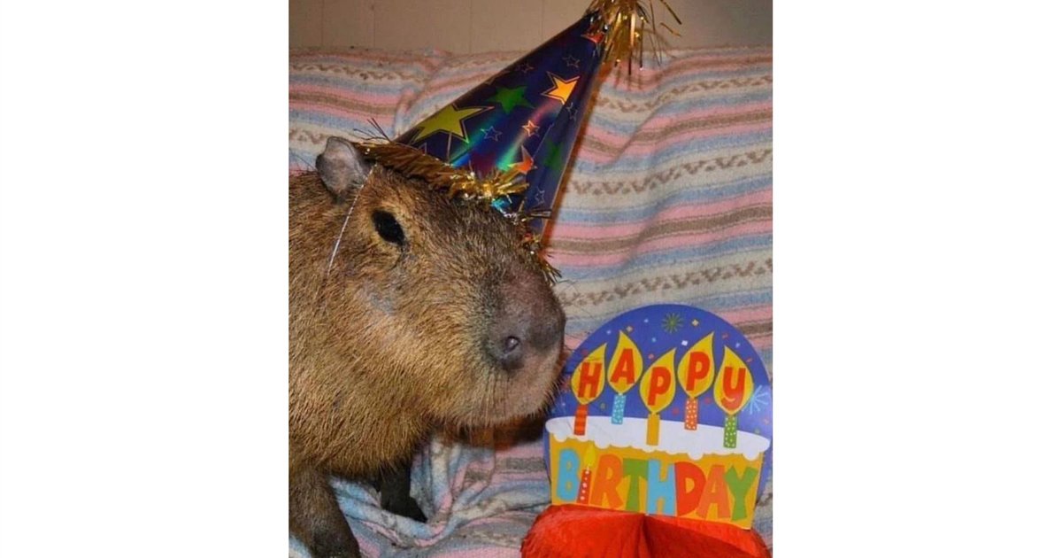 Capybaras Celebrating Holidays Quiz - By raheel