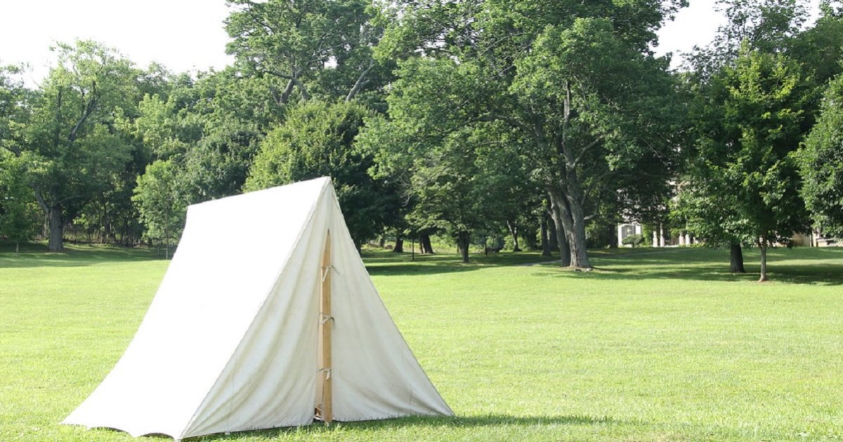 Tents and Trees Logic Puzzle #228 Quiz - By garolo