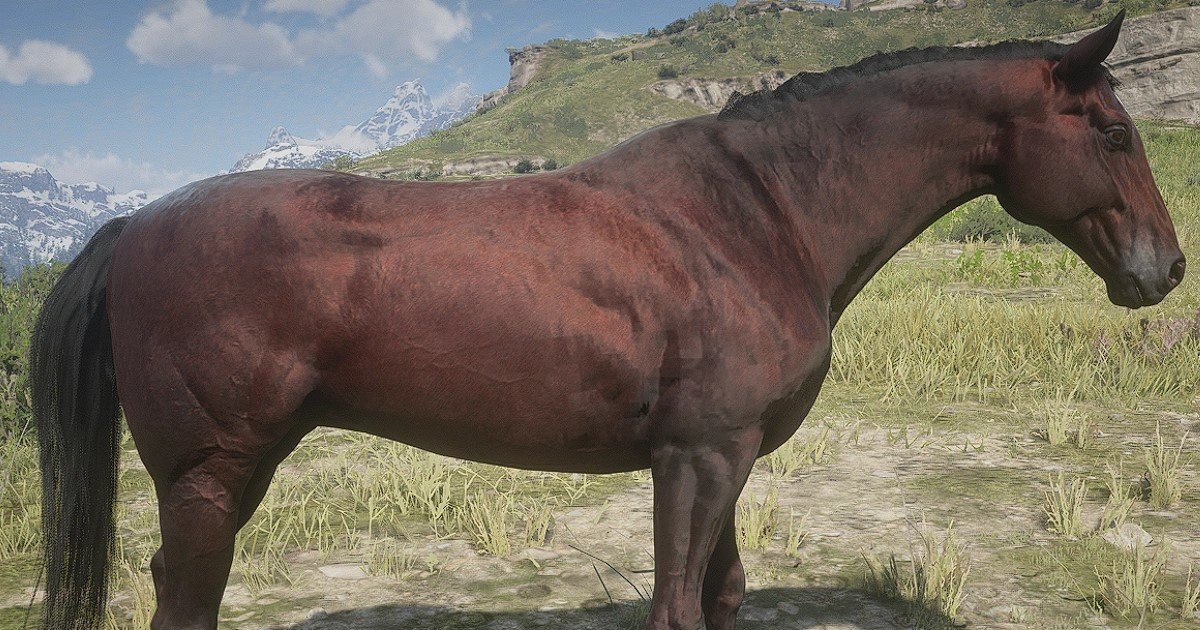 Horse Breeds and Coats in Red Dead Redemption 2 Quiz - By weev