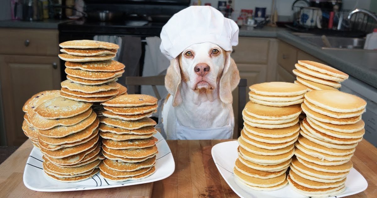 Let's Make a Shrove Tuesday Pancake Quiz - By knightlancer