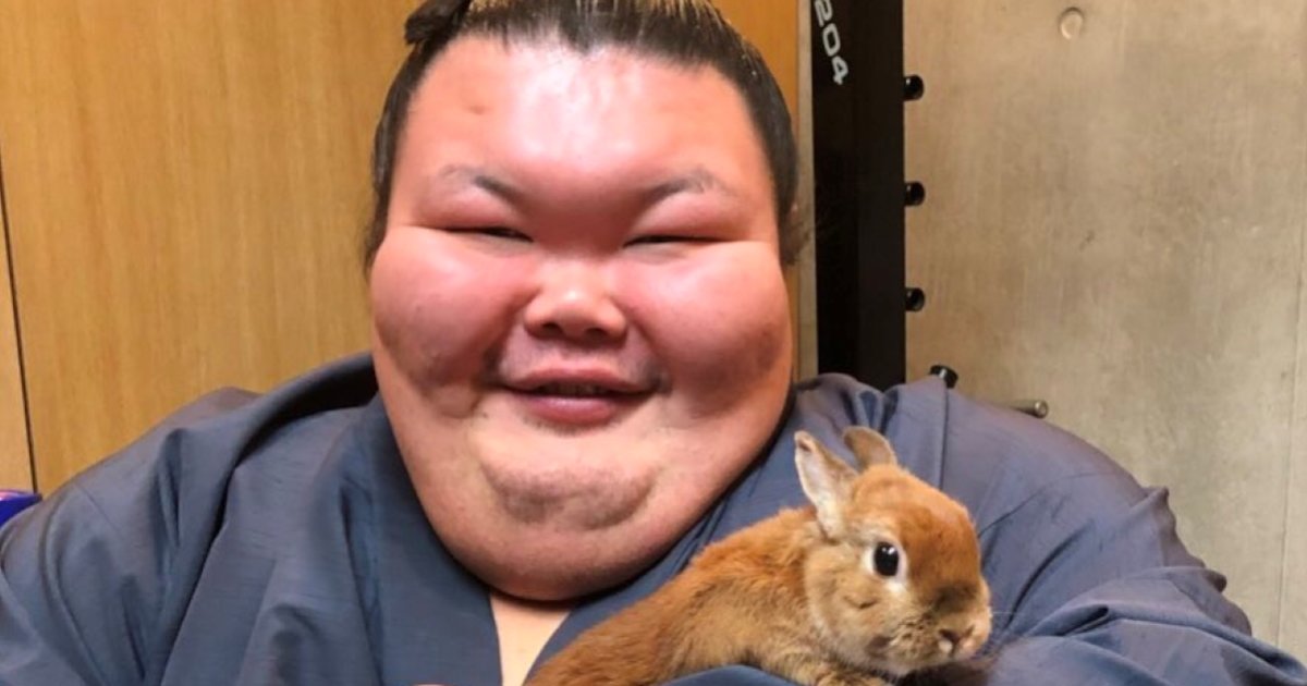 Sumo Wrestlers with Animals Quiz - By Culmsee