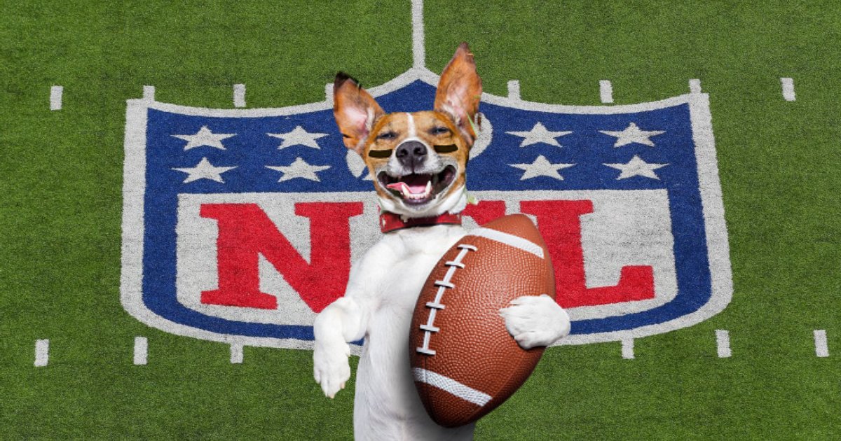 NFL Dogs Quiz - By Sporcl4624