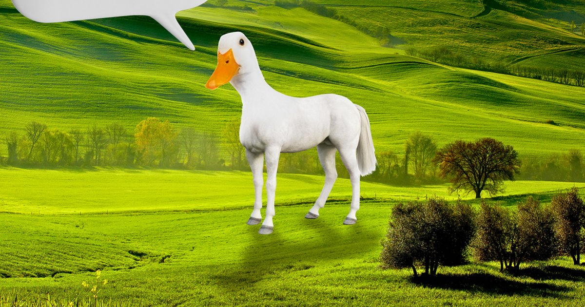 Randimal Hybrids Quiz - By bobkitty1123