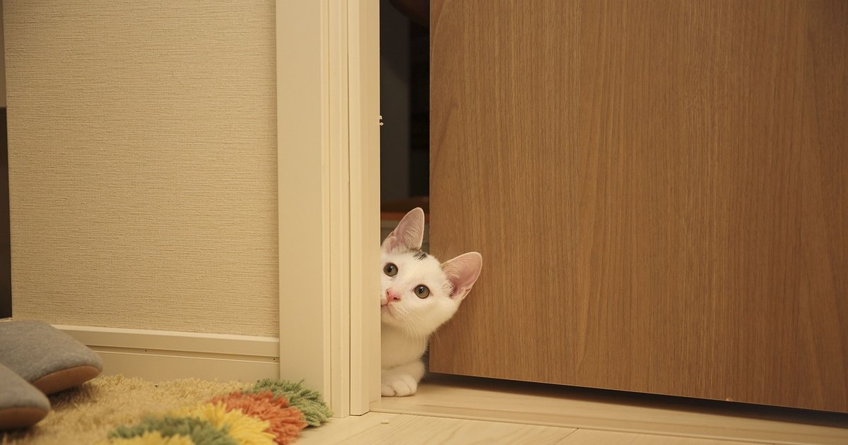 Word Ladder: Door Positions Quiz