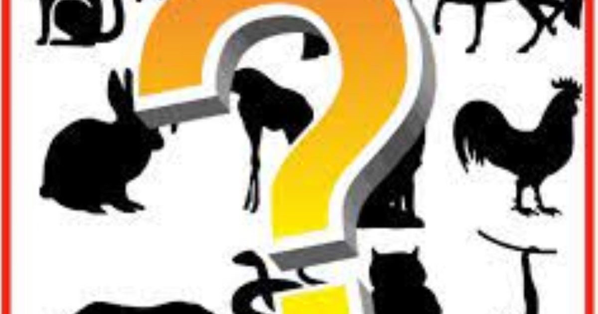 Mystery Creature Reveal Quiz - By Bratista