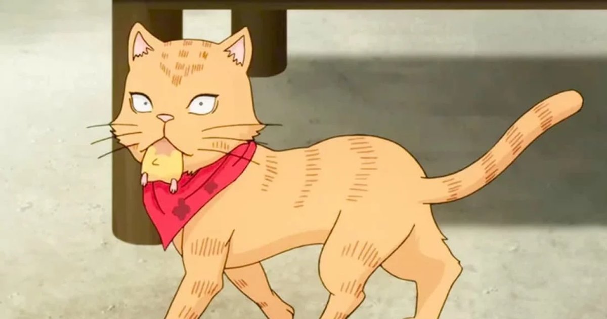 Cats in Anime Quiz - By MayorD
