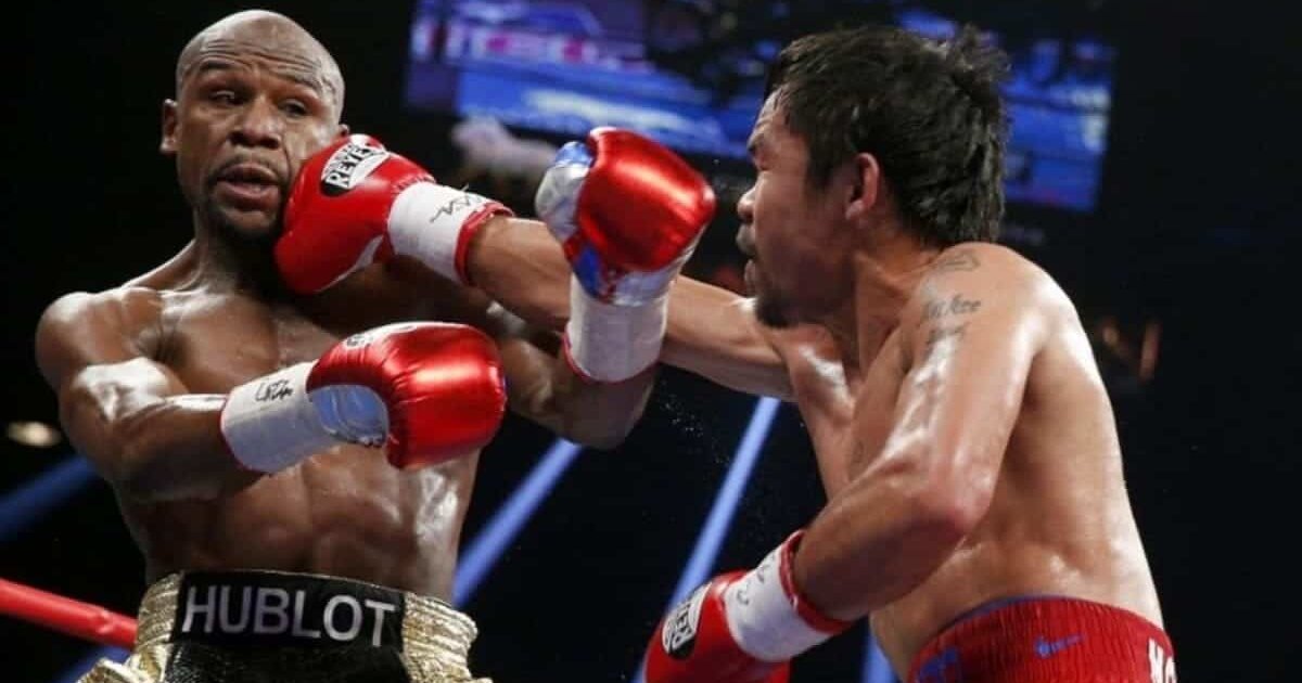 An Introduction To Boxing Quiz - By treessimontrees