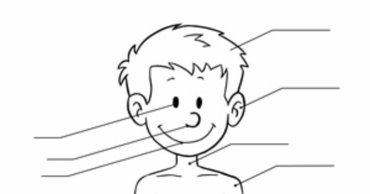 Body Part Matching Quiz - By BenTeacher21