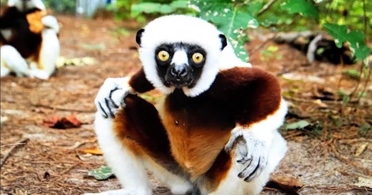 Number Click Quiz - By wizardbus