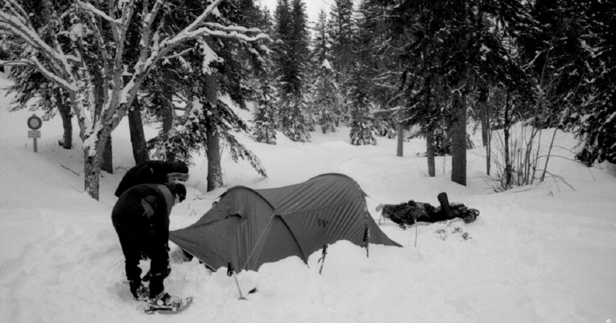 Tents and Trees Logic Puzzle #235 Quiz - By garolo