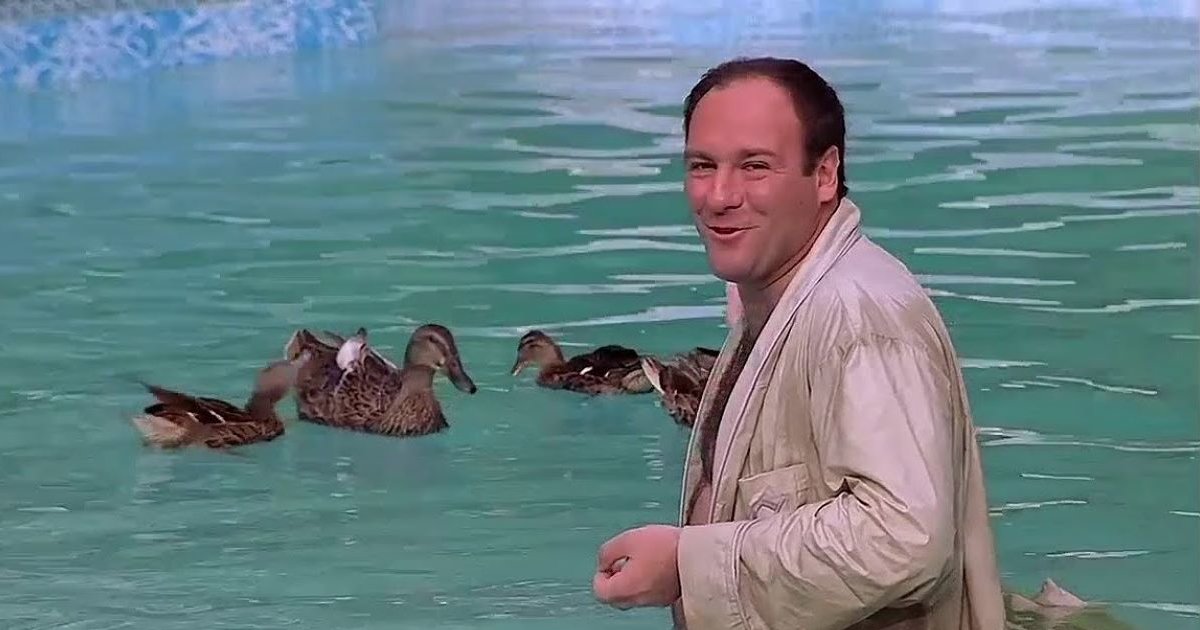 TV Shows by Swimming Pool Scene Quiz