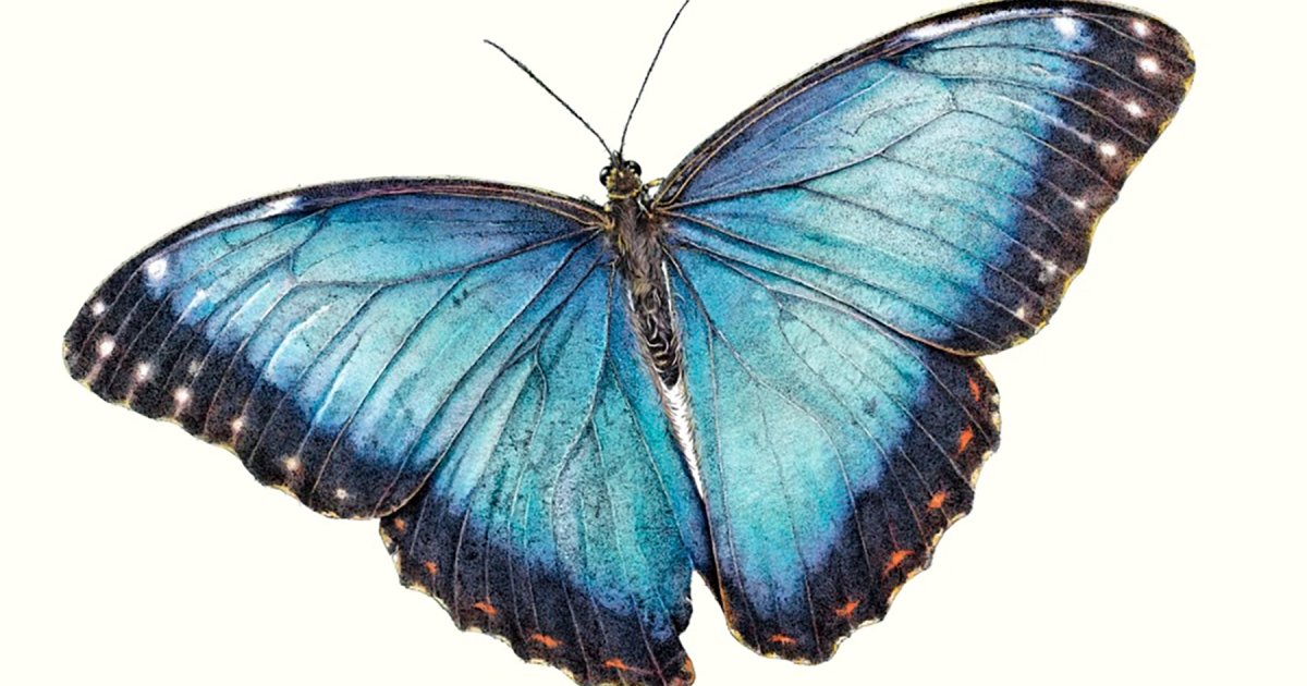 Christina Rossetti - Hurt no living thing Quiz - By Tipperflores