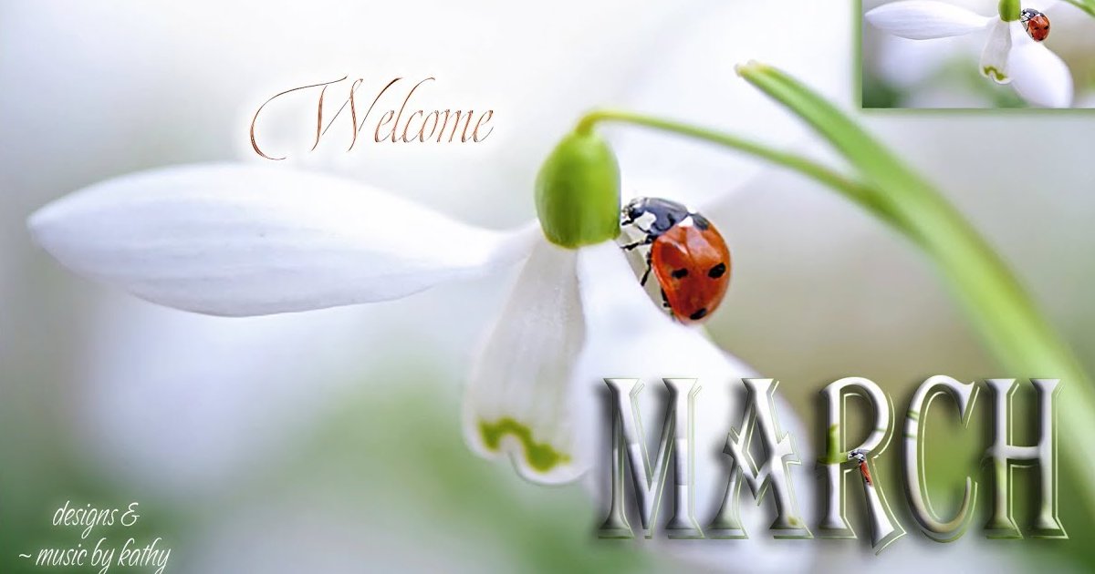 March, March, March Quiz - By kellkris