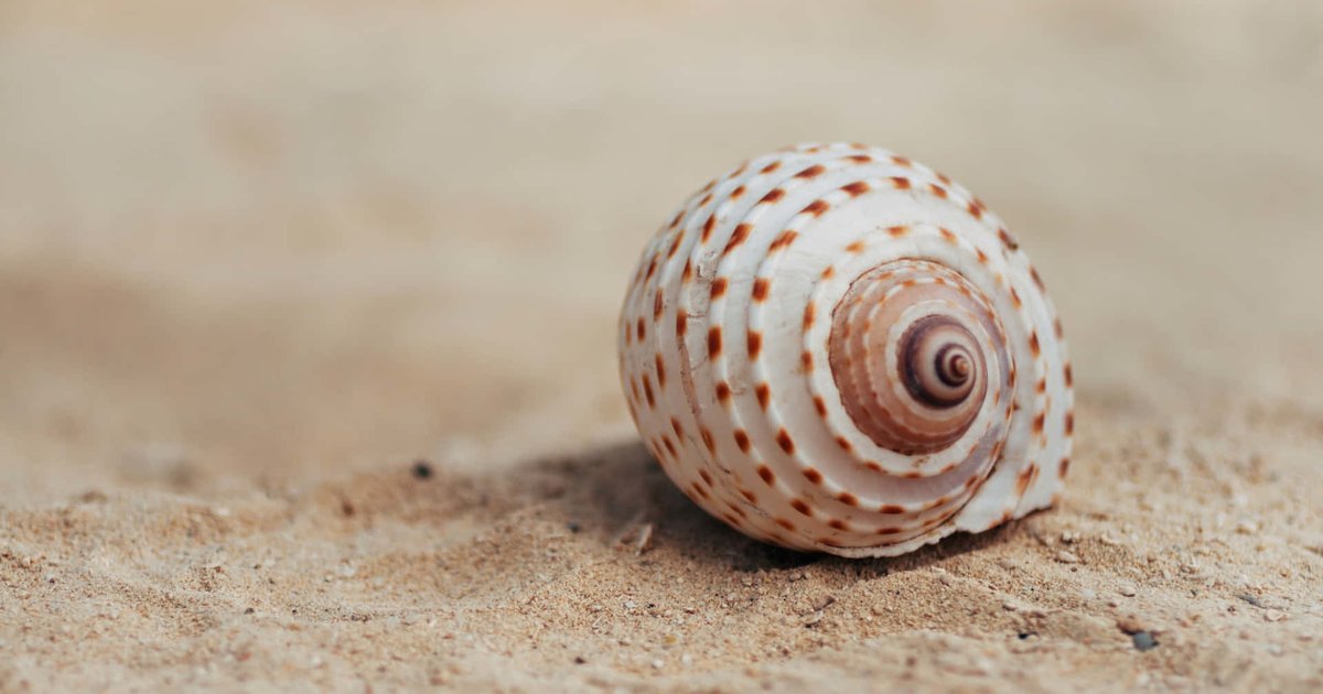 Eight Letter Matching Quiz