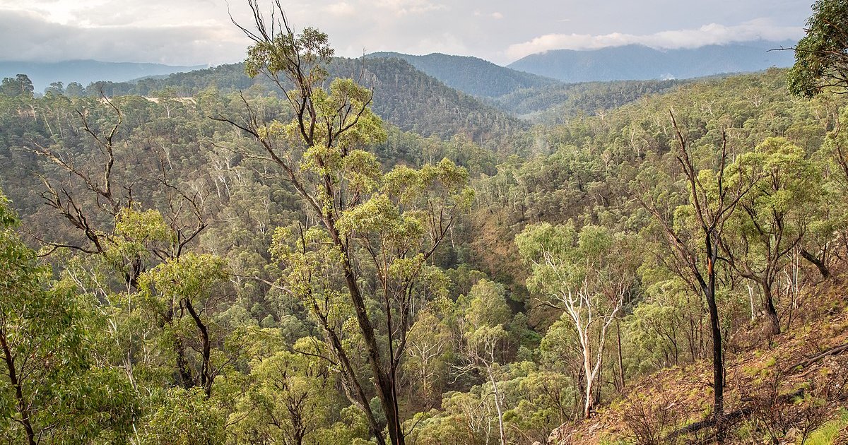 Bioregions of Victoria, Australia Map Quiz - By ameliabaxter