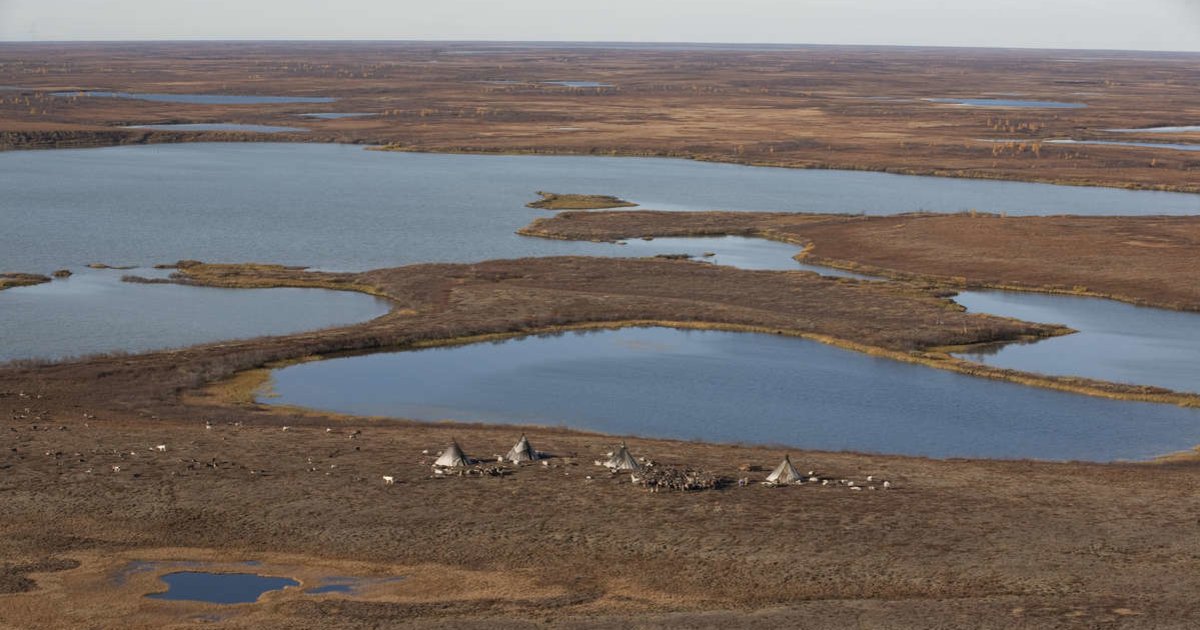 Yamal Peninsula Settlements (ЯНАО) Quiz - By suprunyuck44