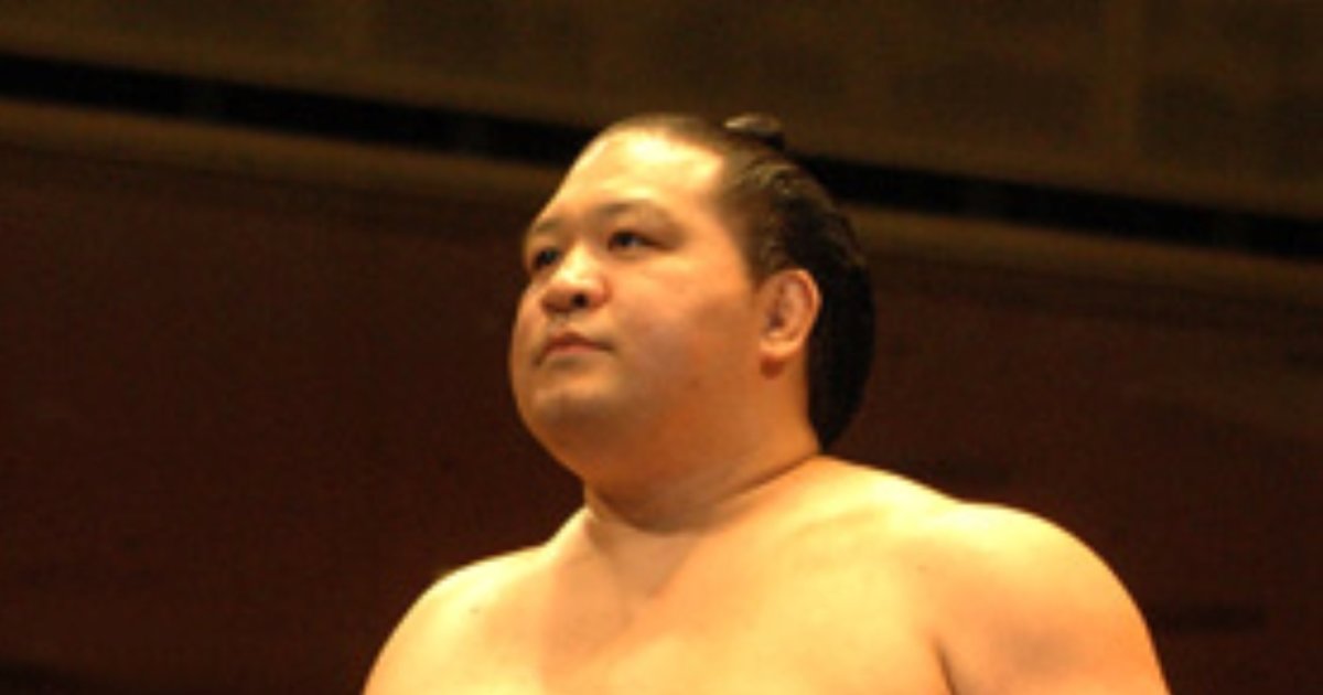 Guess the Sumo Wrestler from a Wikipedia Snippet Quiz - By Culmsee