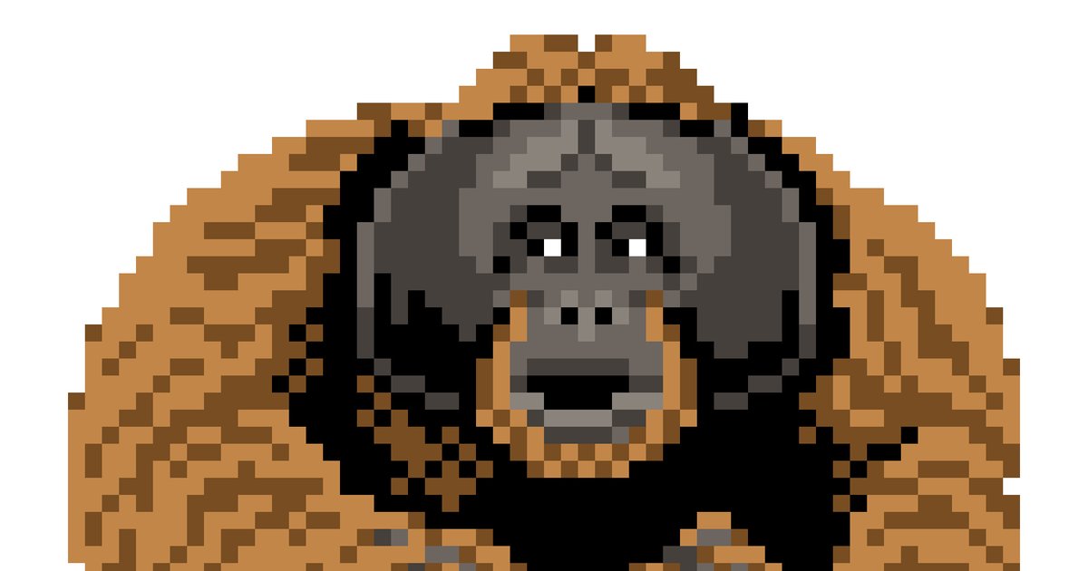 ‘N-O’ Animals by pixel art Quiz - By Tipperflores
