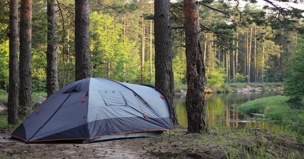 Tents and Trees Logic Puzzle #237 Quiz - By garolo