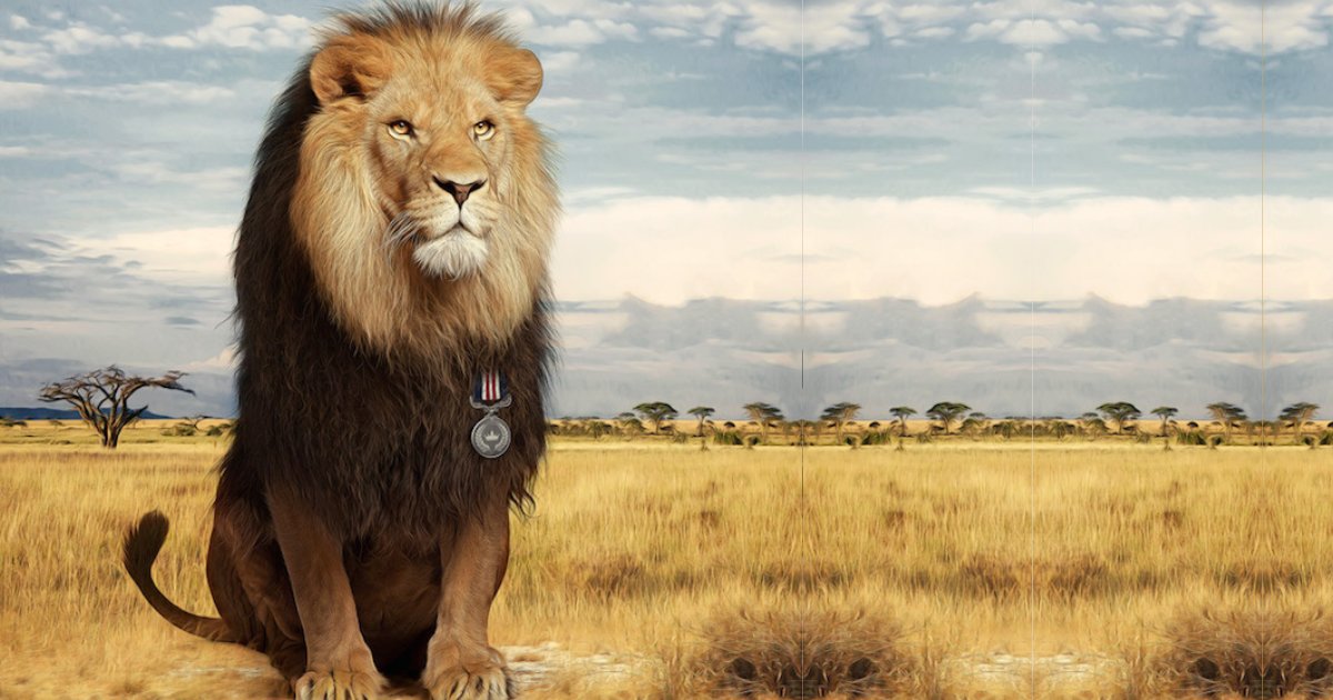 Quick Pick: the Lion's Share Quiz - By Noodle33