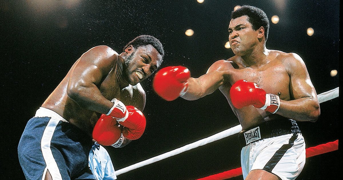 Decoy Dodger: Boxers Quiz - By isaacf830