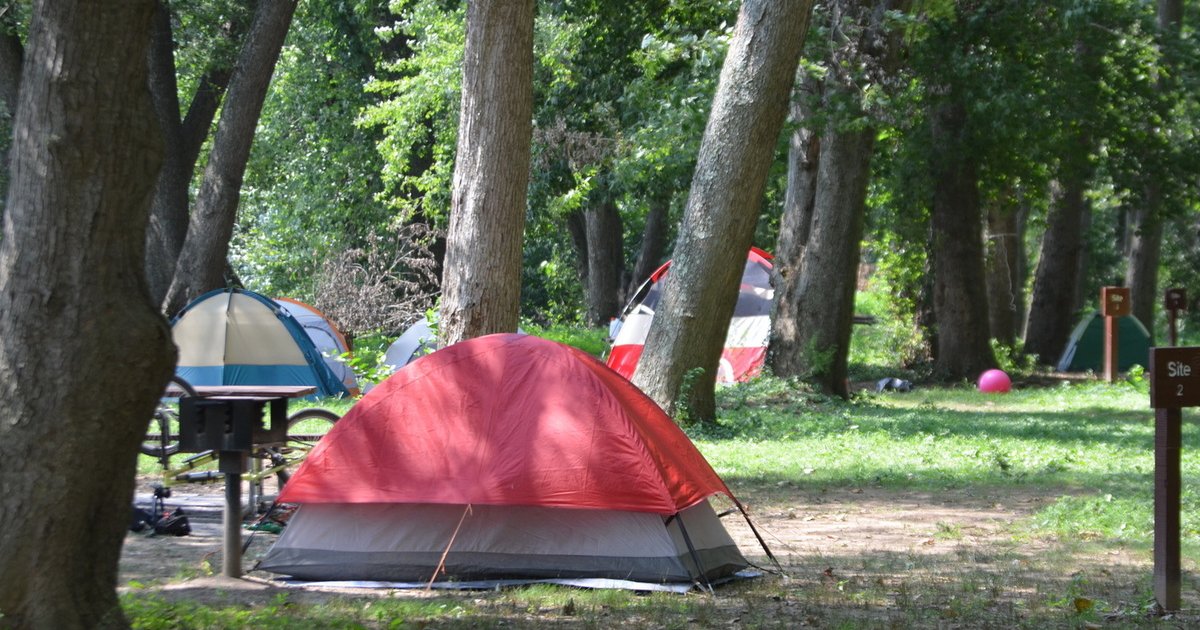 Tents and Trees Logic Puzzle #240 Quiz - By garolo