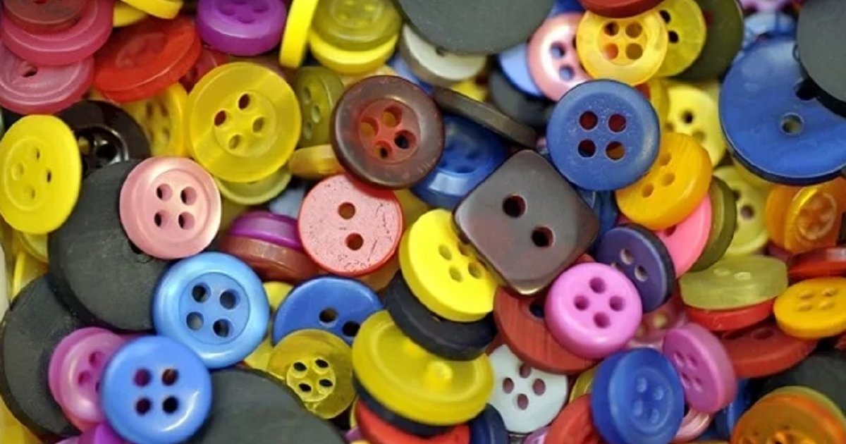 Find the Button Animals Quiz - By alvir28