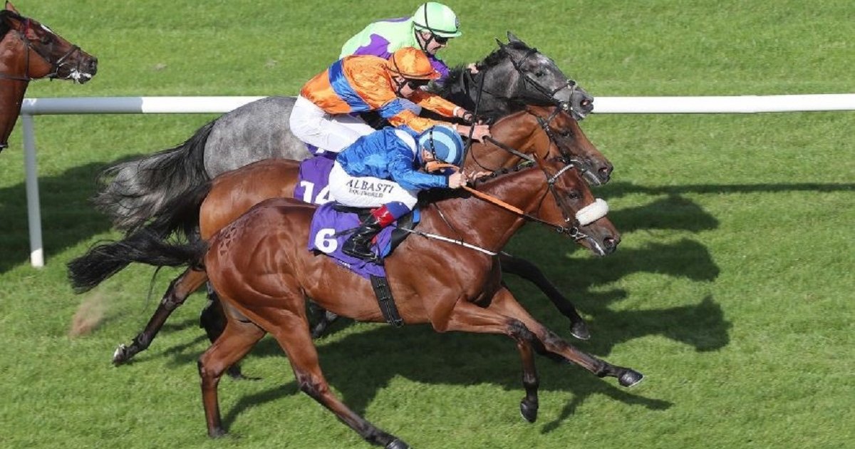 Win, Place, or Show Quiz - By garolo