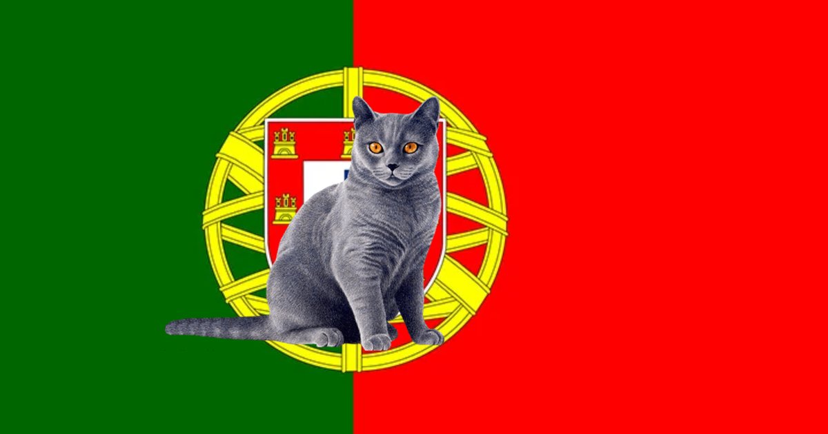 Cats in Portuguese Quiz - By rae_cat