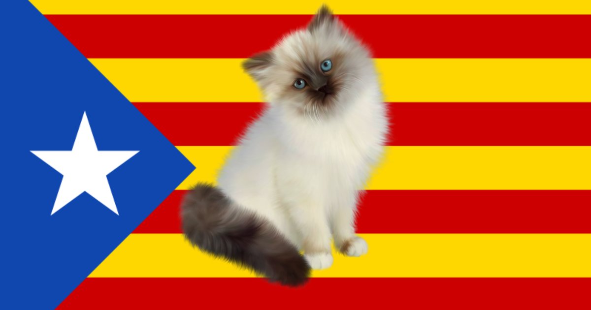Cats in Catalan Quiz - By rae_cat