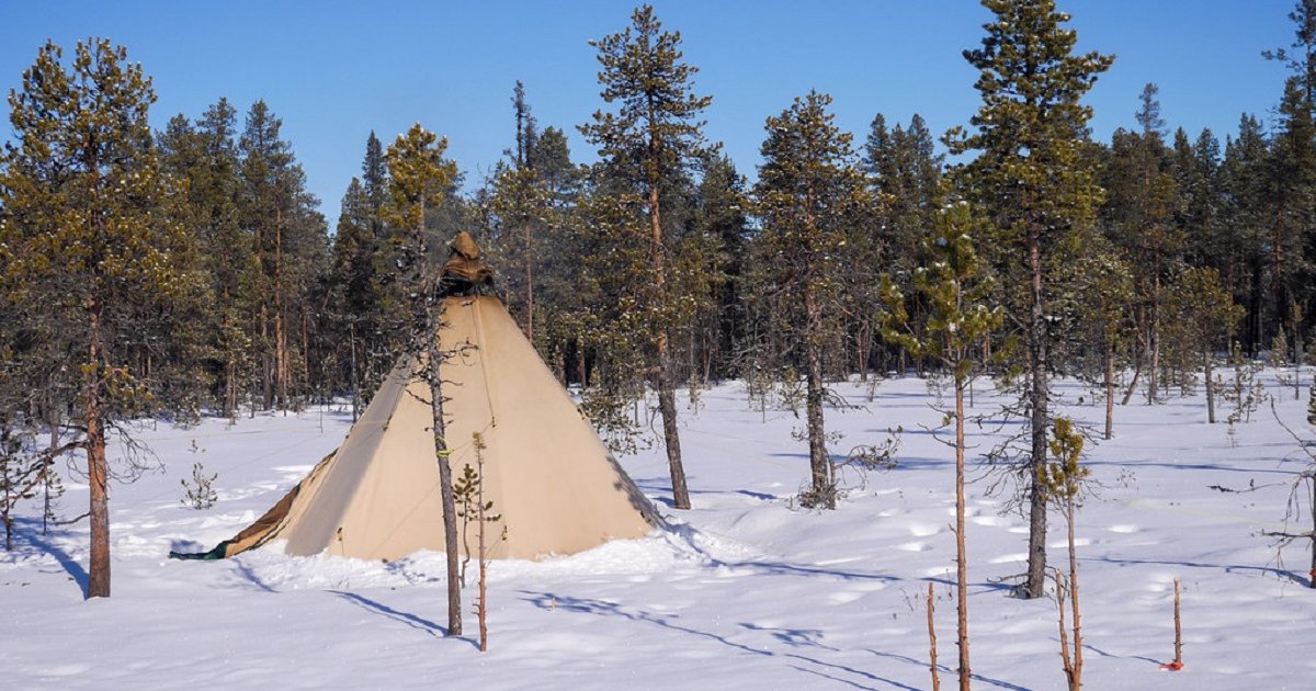 Tents and Trees Logic Puzzle #244 Quiz - By garolo