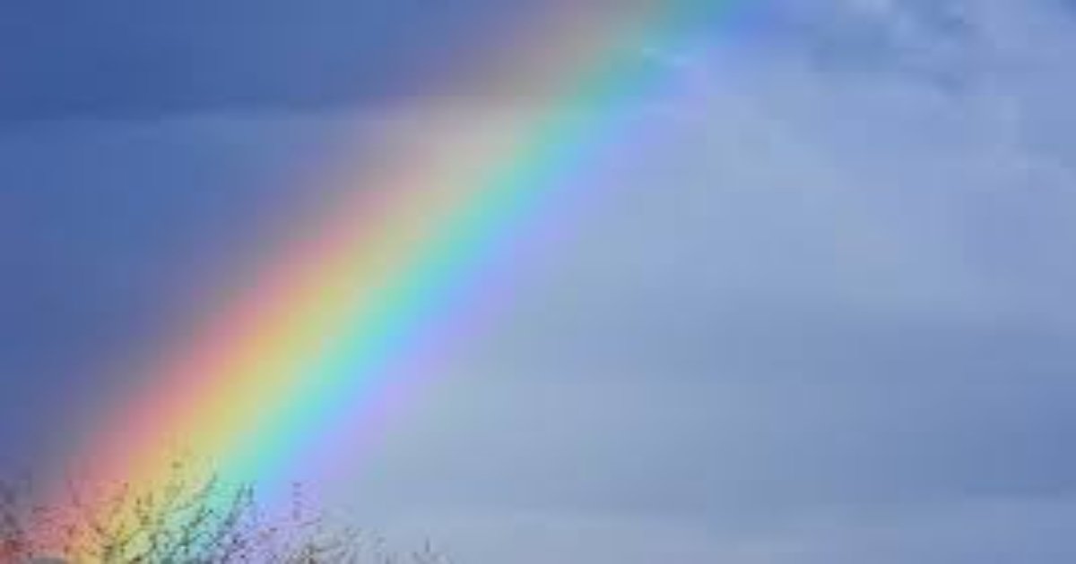 Colors of The Rainbow Quiz - By EliTheMan
