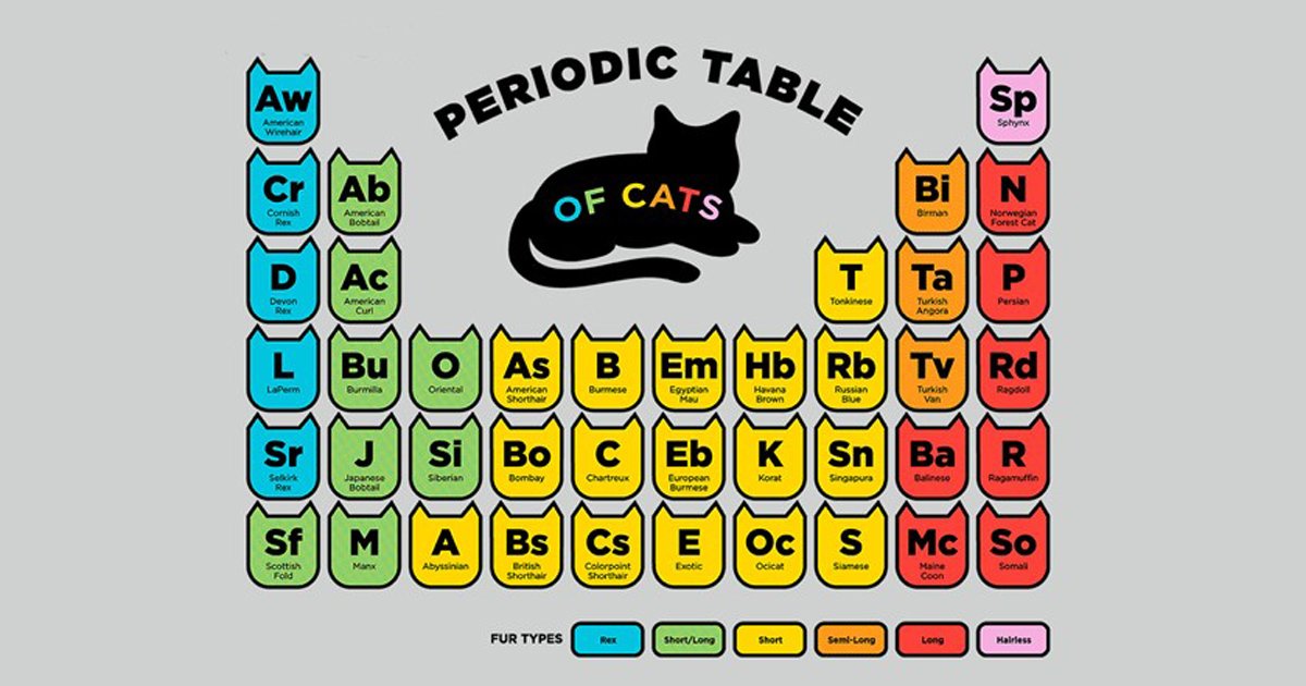 Elemental Animals Quiz - By biggs364