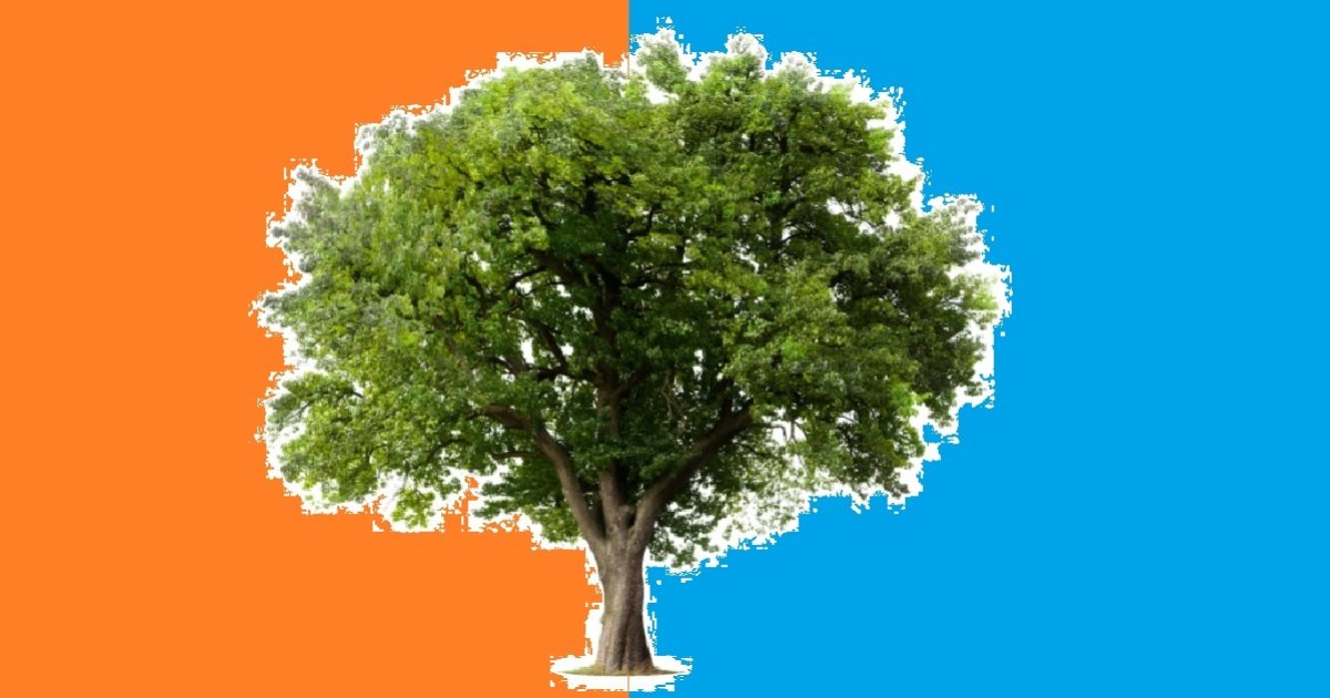 Killer Double Trees 188 - Colour Mis-Match Quiz - By FGR