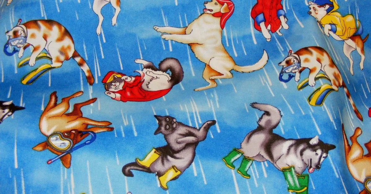 Raining Cats or Dogs Quiz - By cassie_ann