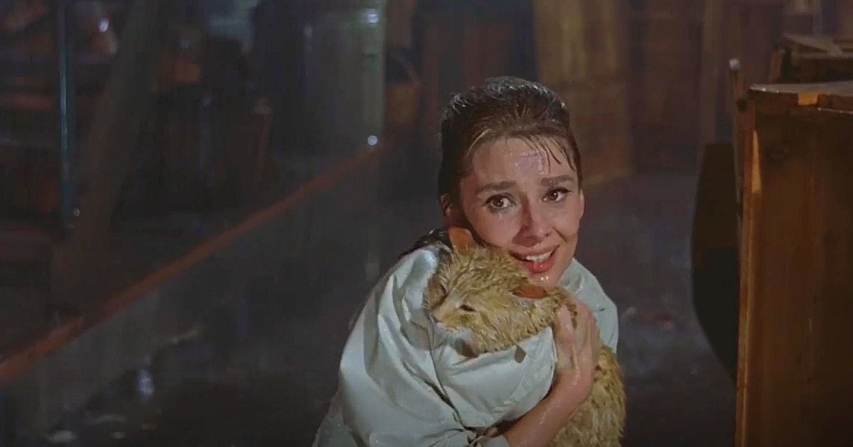 Click the Rainy Movies II Quiz - By cactoose